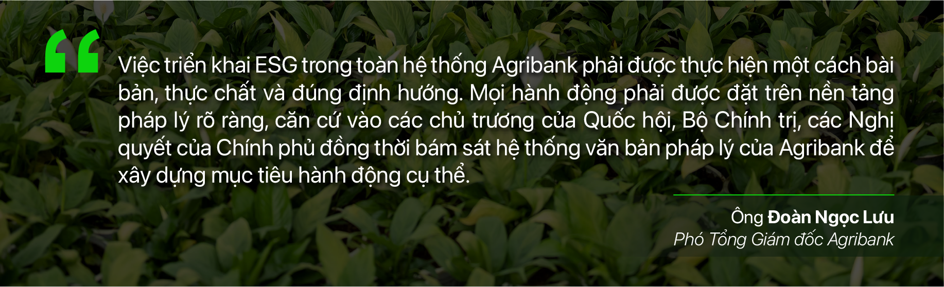Mở rộng hợp tác quốc tế - Đòn bẩy thúc đẩy ESG tại Agribank (Bài 3)